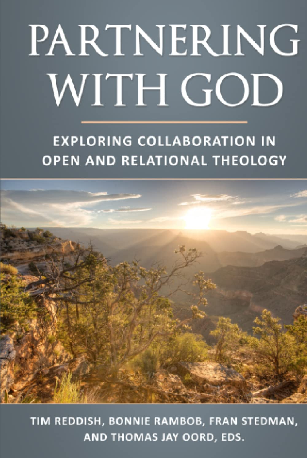 Partnering with God: Exploring Collaboration in Open and Relational ...
