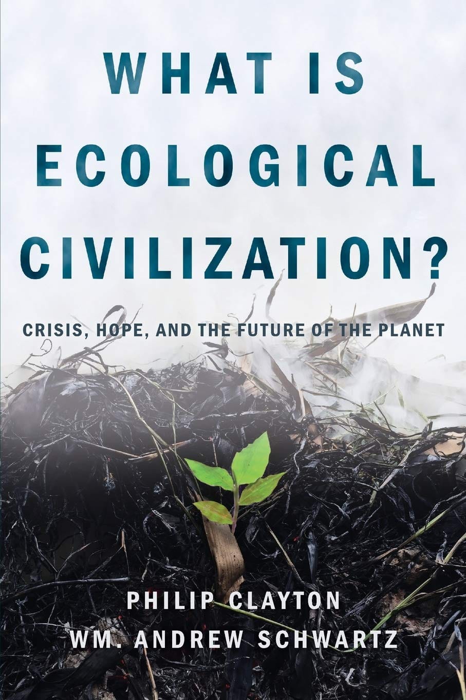 What Is Ecological Civilization?: Crisis, Hope, and the Future of the ...